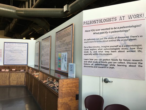 New “Paleontologists at Work” display - Dinosaur Discovery Site